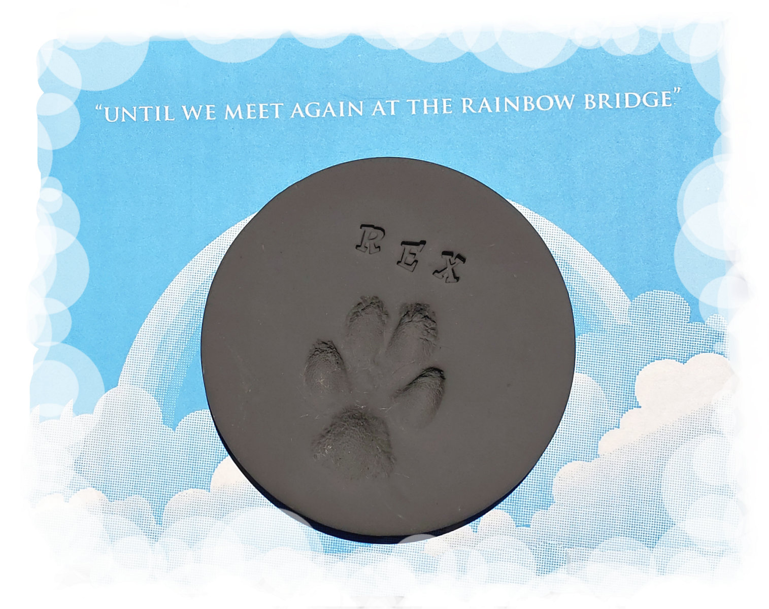 ReXena - So Cool Books